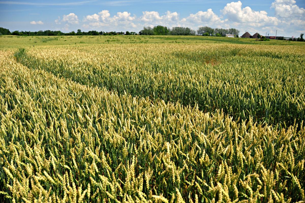 6 Key Sources Of U S Renewable Energy 6-key-sources-of-u-s-renewable-energy